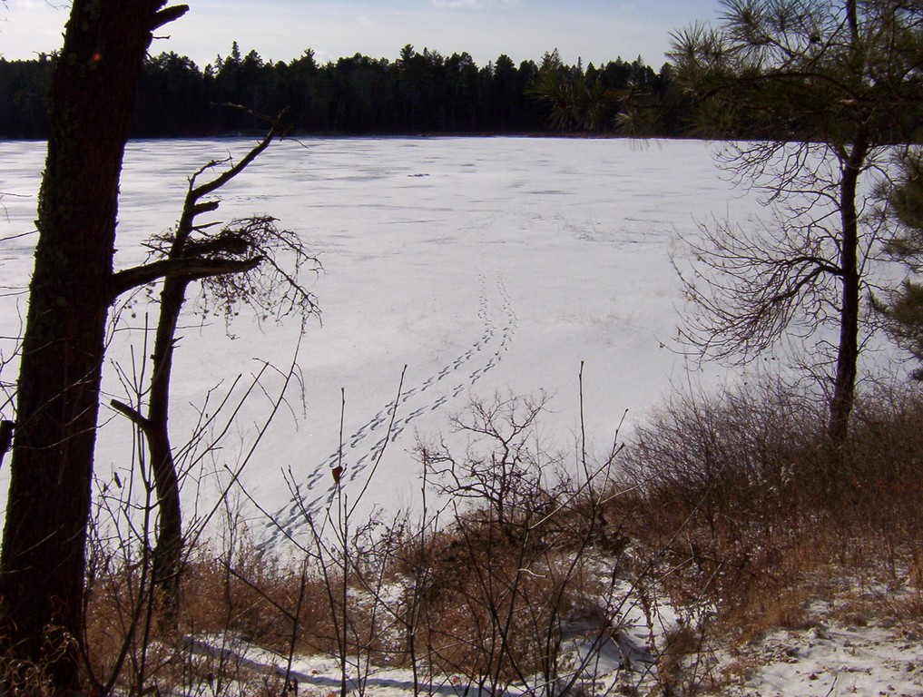 Itasca Lake (and a few other lakes)